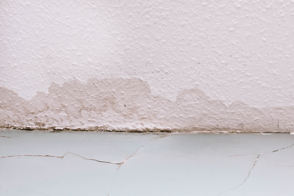 Signs of Water Leaks in Concrete Slabs | Water Leak Detection